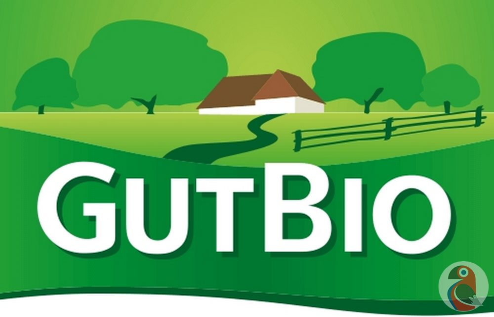 In Germania Aldi svolta verso il biologico: nasce Gut bio - Promozioni24